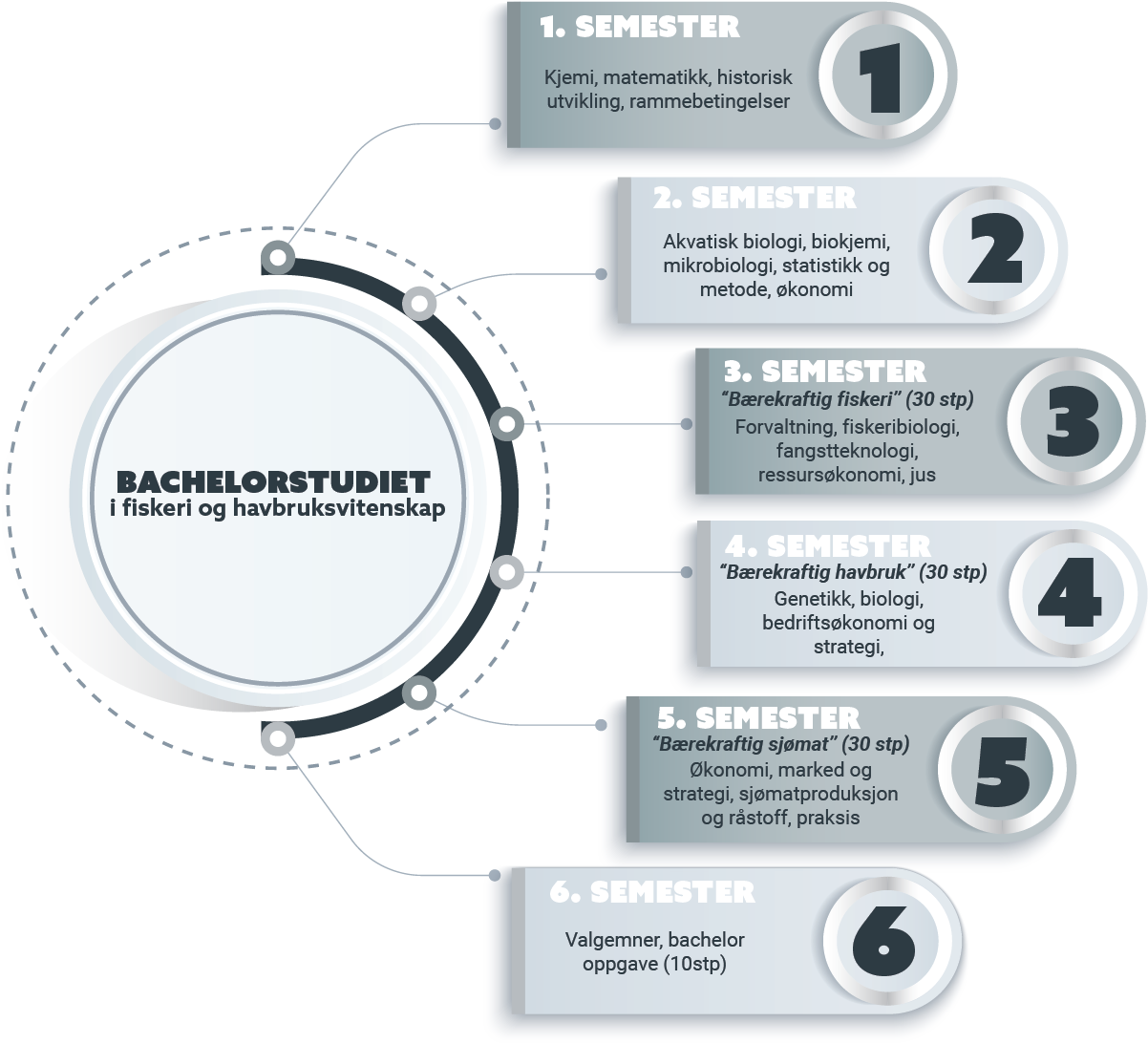 1.1 Presentasjon av utdanningen og læringsmål | Sampraksis