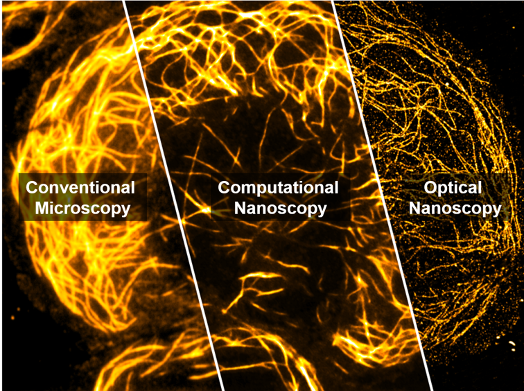 Ultrasound, Microwaves and Optics – Ultrasound, Microwaves and Optics